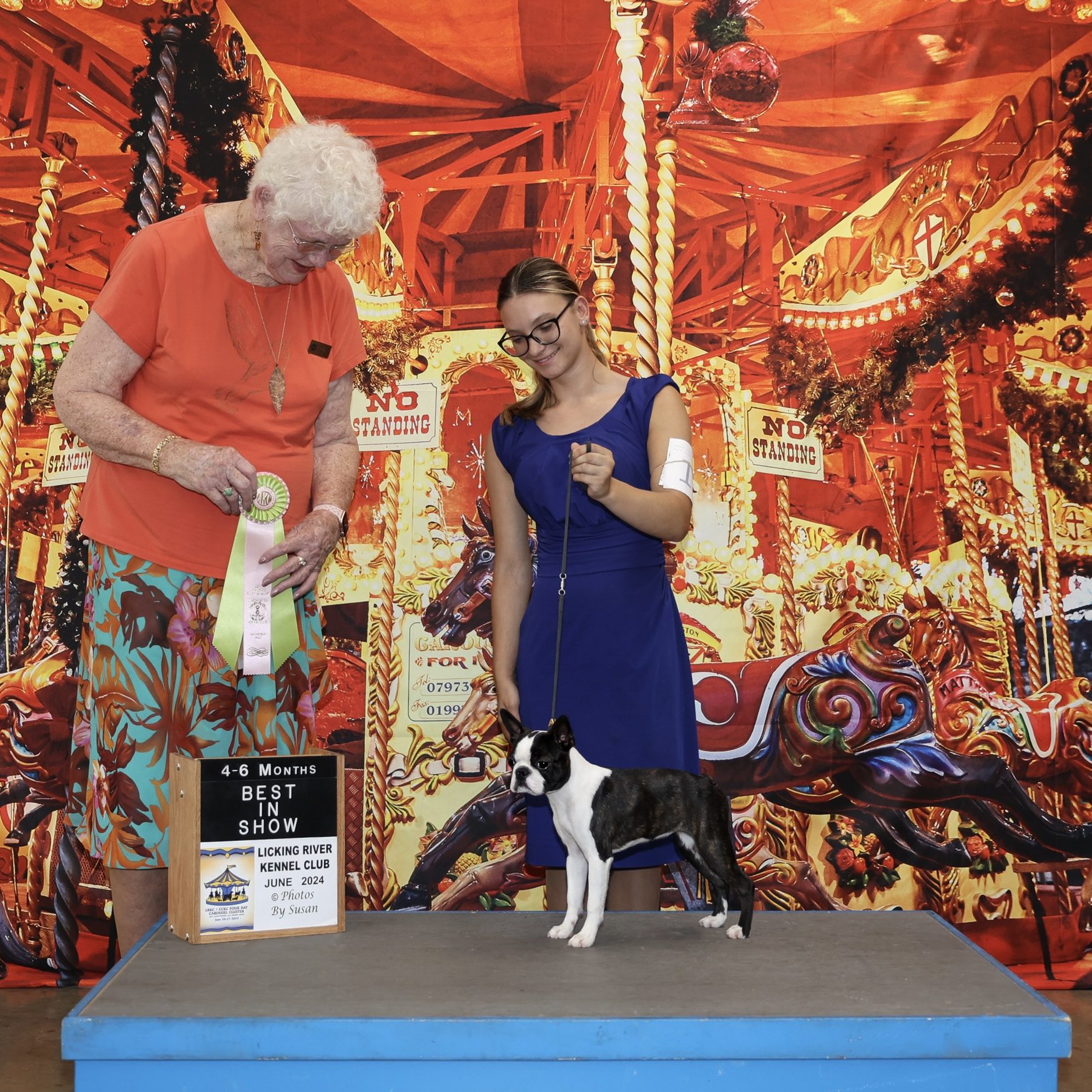 Large Boston Terrier Breeders | Reputable Boston Terrier Breeder USA ...